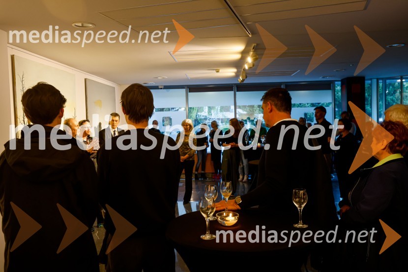 Mediaspeed - Odprtje razstave Mateja Čepina v Generali galeriji