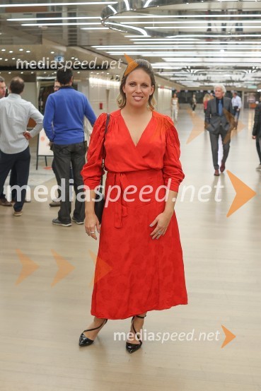 Mediaspeed - Dedek gre na jug, predpremiera filma