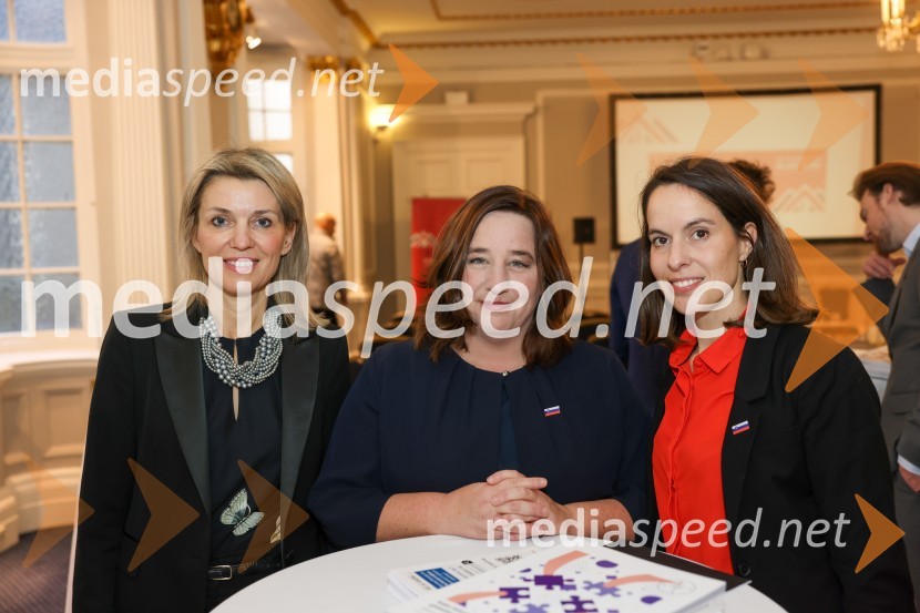 Mediaspeed - Čaj z razlogom: Kako pritegniti nadarjene Slovence iz ...