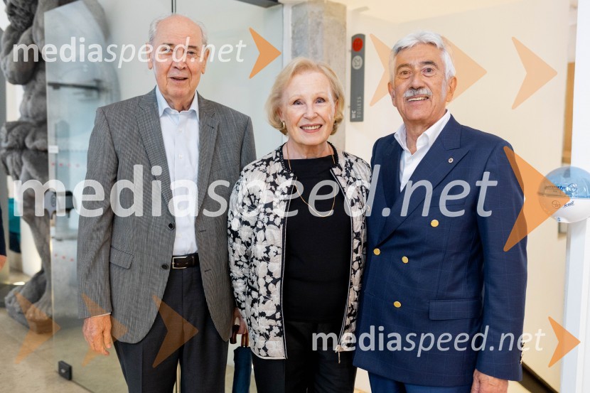 Mediaspeed - Iskrice v očeh 2023