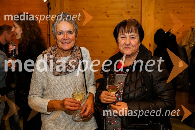 Mediaspeed - Dr. Mateja Ratej in dr. Dragan Petrovec gostja v skednju ...