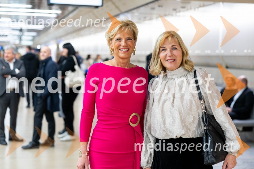 Mediaspeed - Inženirka leta 2023 je Ljupka Vrteva