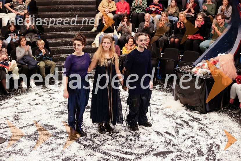 Mediaspeed - Vikingi: pesem severnega morja, premiera mladinske ...