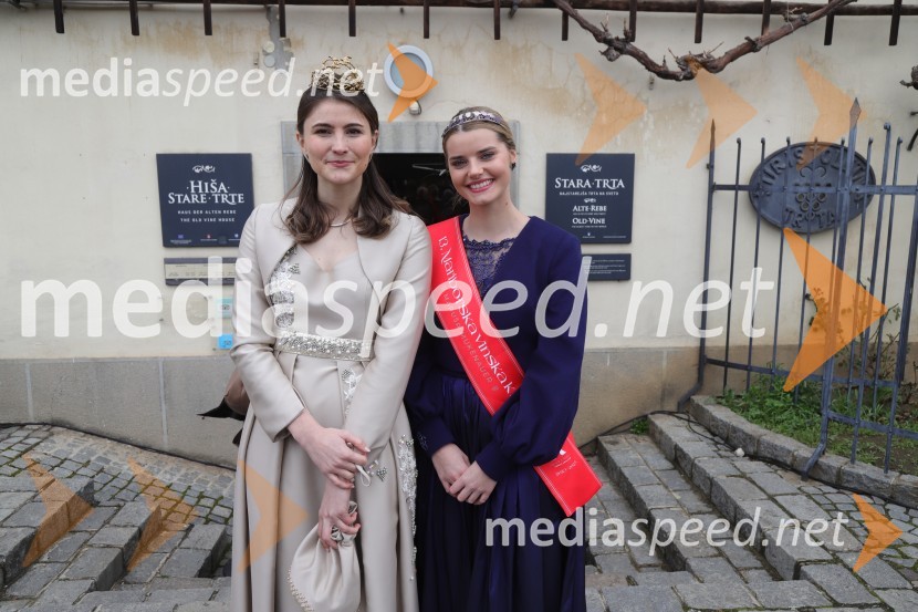 Mediaspeed - 45. Rez najstarejše trte na svetu