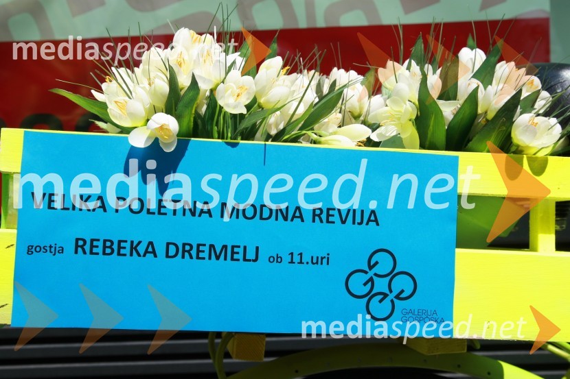 Mediaspeed - Galerija Gosposka, velika poletna modna revija