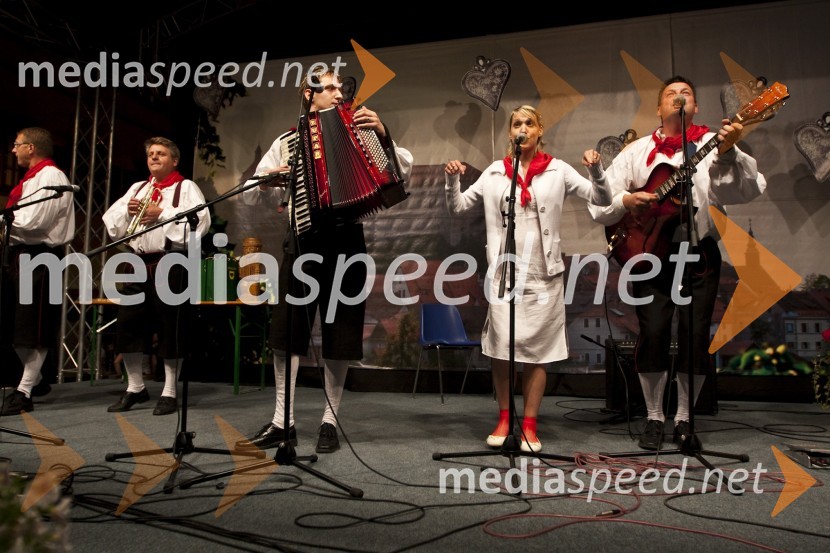 Mediaspeed - 9. večer Slovenskih viž v narečju