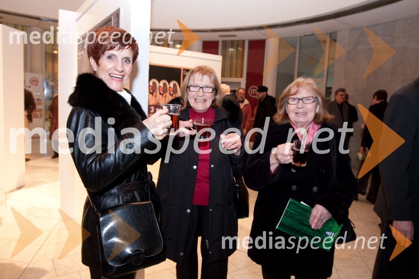 Mediaspeed - Striček Vanja, premiera v SNG Nova Gorica