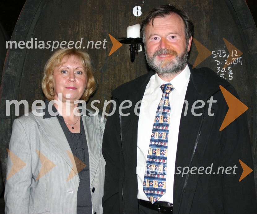 Mediaspeed - dr. Ivan Rozman, rektor Univerze v Mariboru