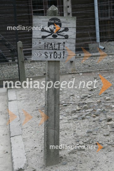 Mediaspeed - Oswiecim - Auschwitz, Poljska