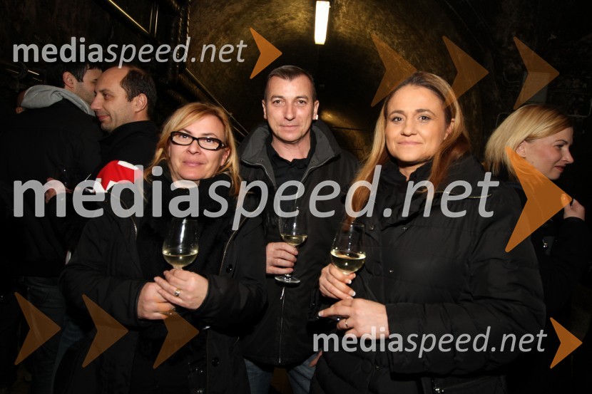 Mediaspeed - 47. Zlata lisica, druženje v Vinagovi kleti