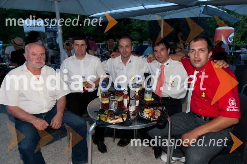 Mediaspeed - Lady piknik pod klobuki in klobučki