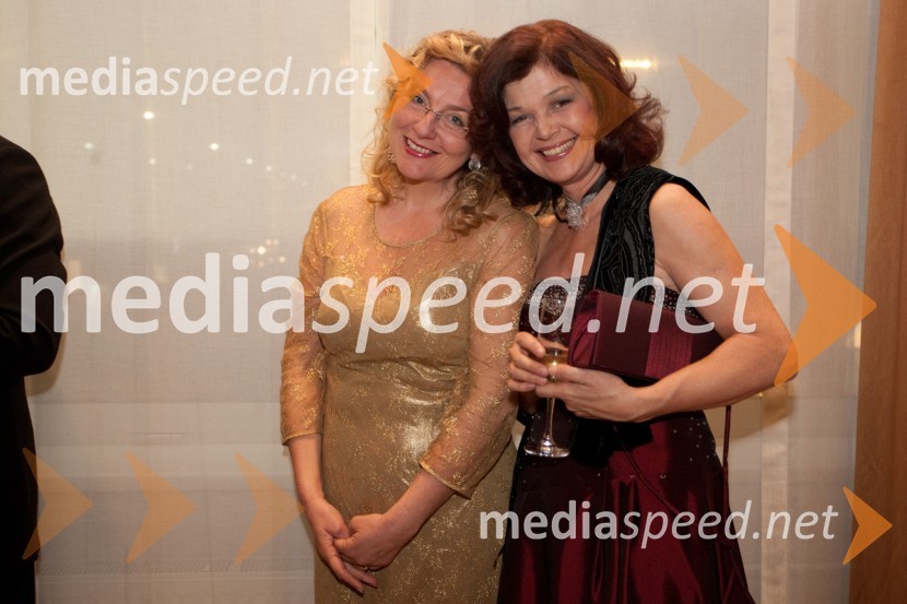 Mediaspeed - 19. Koroški večer s plesom