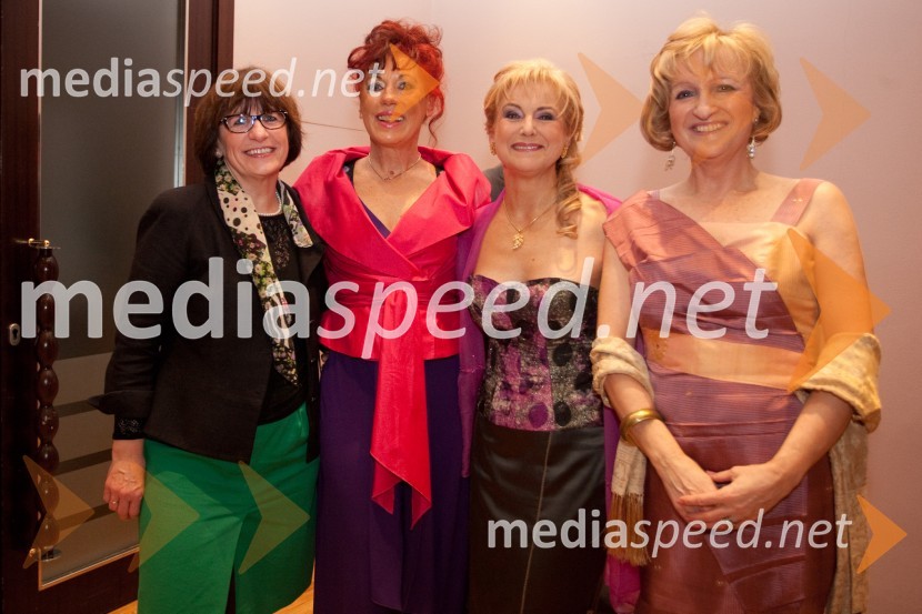 Mediaspeed - 19. Koroški večer s plesom