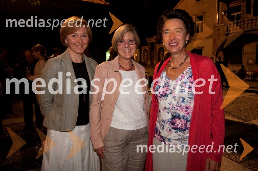 Mediaspeed - Festival Ljubljana 2012: Roby Lakatos, vražji goslač