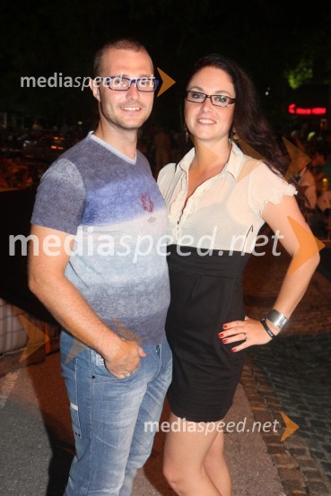 Mediaspeed - Ptujska poletna noč 2012