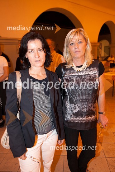 Mediaspeed - Špasfest 2012, otvoritev