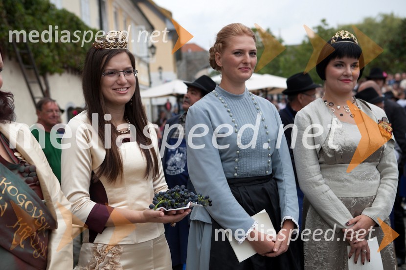 Mediaspeed - 26. svečana trgatev Stare Trte