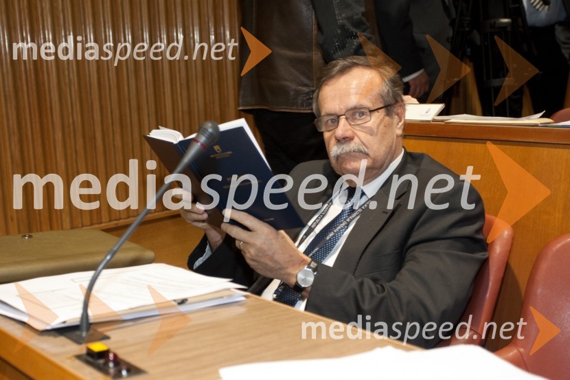 Mediaspeed - Ustanovna seja Državnega sveta RS