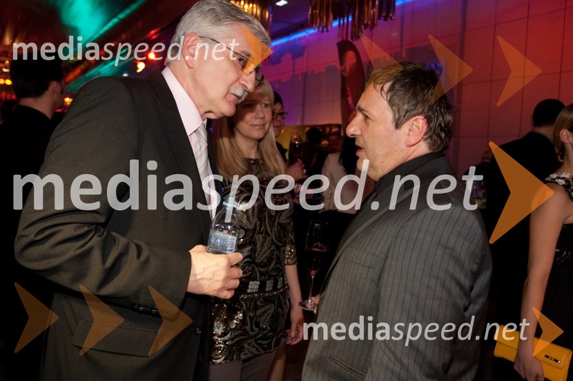 Mediaspeed - Viktorji 2012, zabava po podelitvi