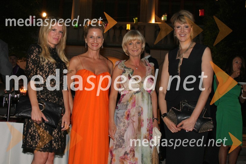 Mediaspeed - Kresna noč 2013