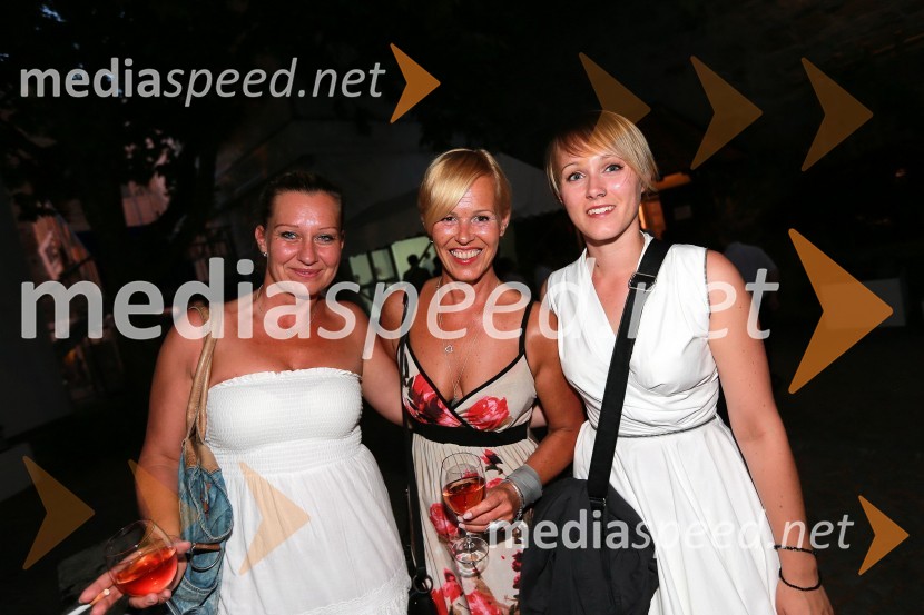 Mediaspeed - 21. Festival Lent 2013, otvoritev festivala