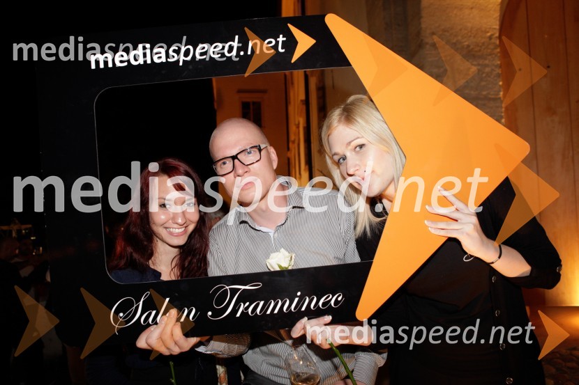 Mediaspeed - 4. Salon Traminec 2013