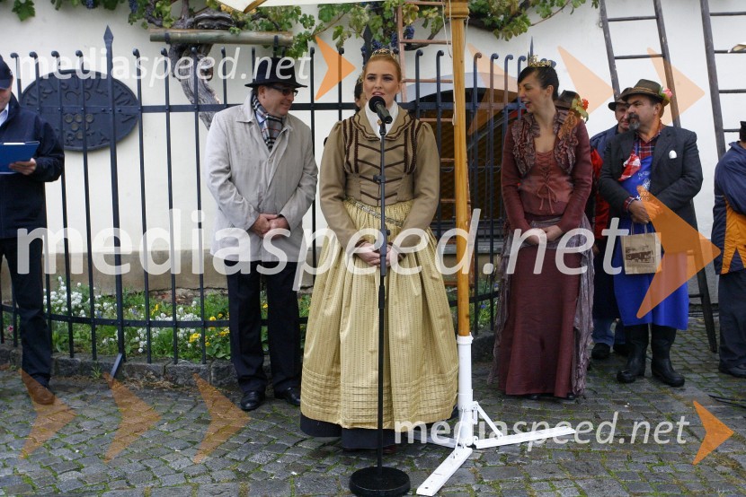 Mediaspeed - 27. Svečana trgatev Stare trte