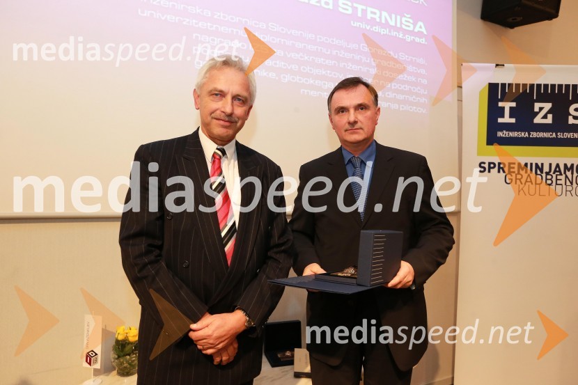 Mediaspeed - IZS, dan inženirjev 2013