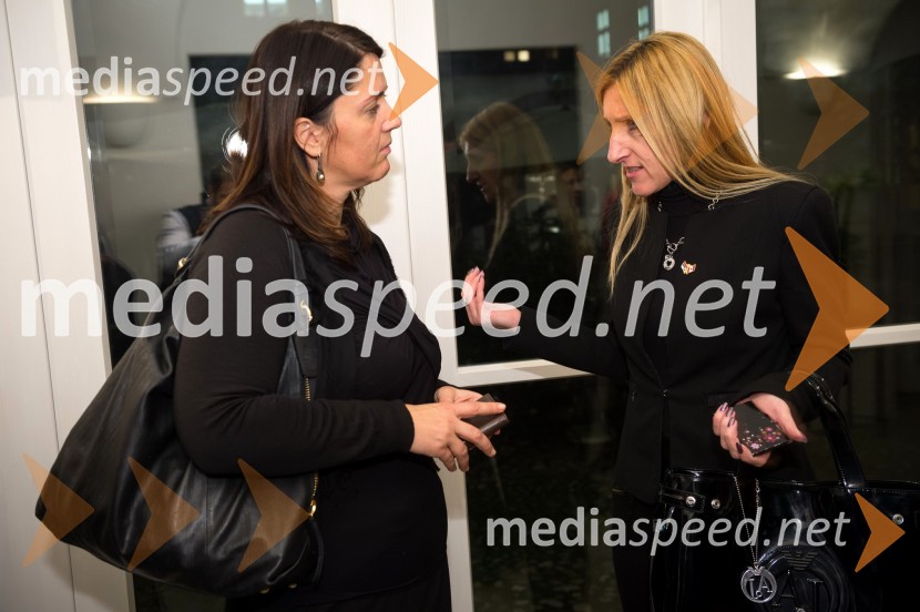 Mediaspeed - Canadian Business Club in Lisa Helfand, veleposlanica Kanade