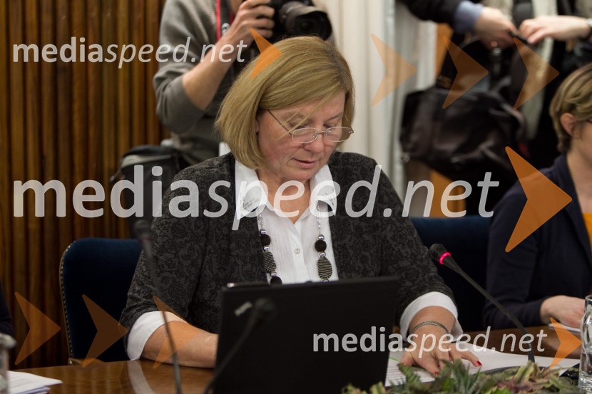 Mediaspeed - Metod Dragonja, predstavitev kandidata za ministra za ...