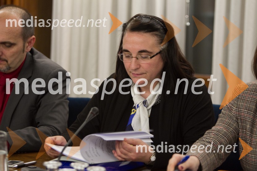 Mediaspeed - Metod Dragonja, predstavitev kandidata za ministra za ...
