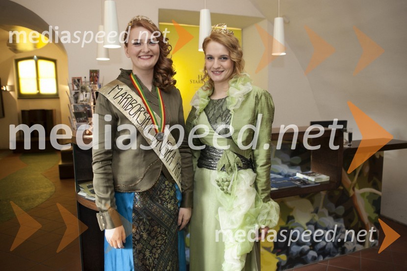 Mediaspeed - 35. rez Stare trte na Lentu 2014