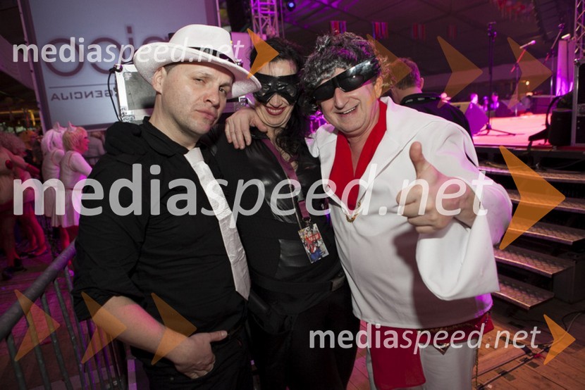 Mediaspeed - Veliki Karnevalski bal 2014