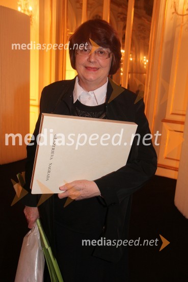 Mediaspeed - Glazerjeve nagrade 2014, podelitev