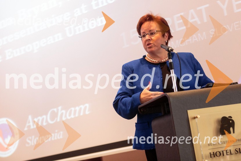 Mediaspeed - AmCham Poslovni zajtrk, gostji: Elena Bryan in Anna Prinz