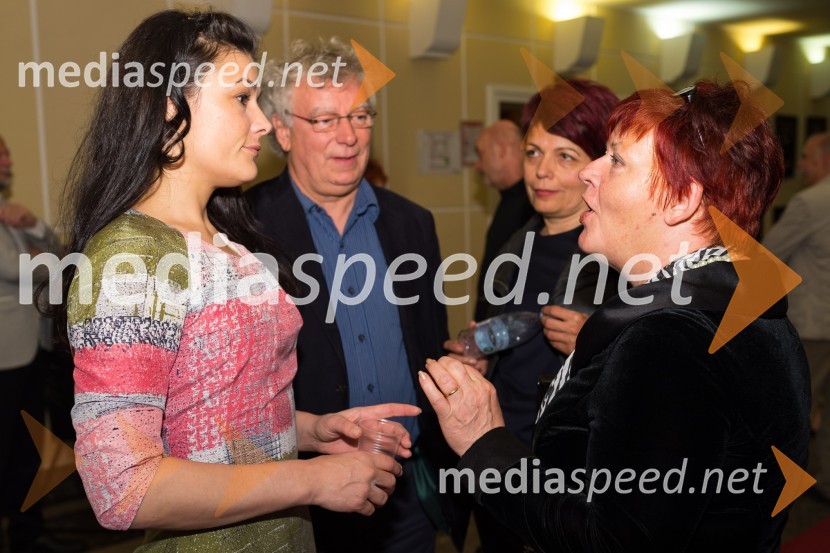 Mediaspeed - Kako poveš, kar si odigral, premiera predstave SLG Celje