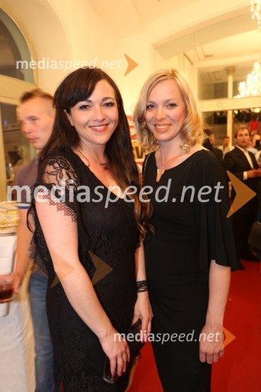 Mediaspeed - Viktorji 2013, zabava po podelitvi