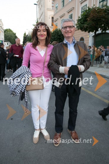 Mediaspeed - Poletna noč 2014