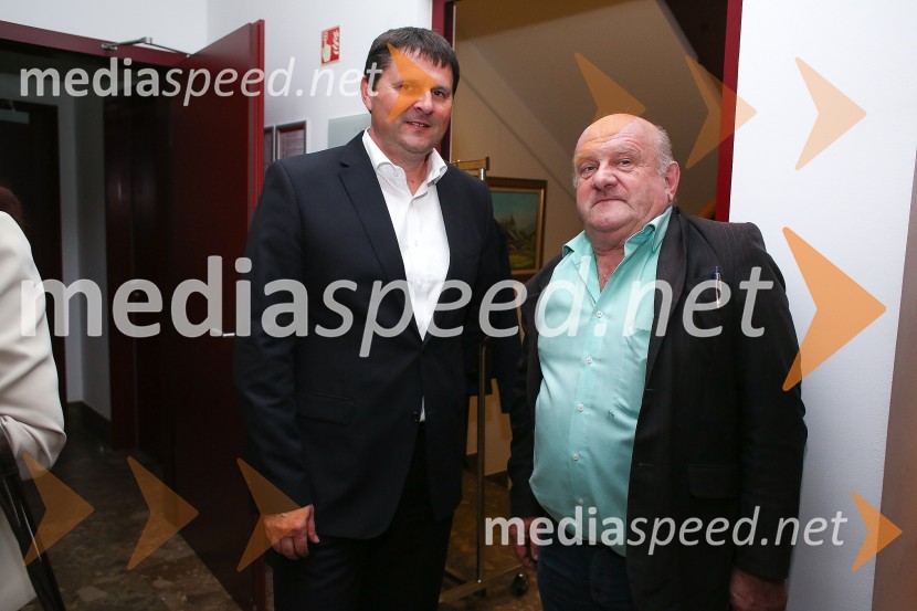 Mediaspeed - Dan inženirjev 2014