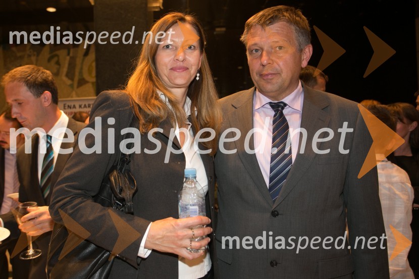 Mediaspeed - Podjetnik leta 2014