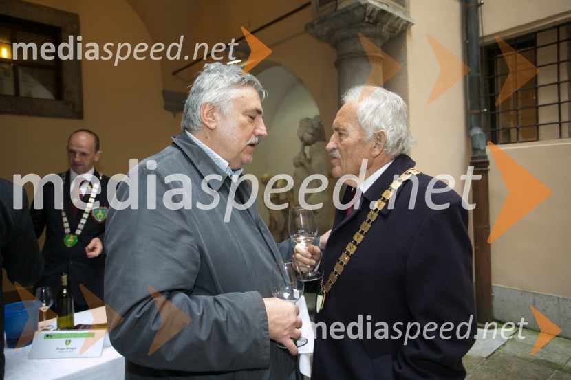 Mediaspeed - Znani Slovenci martinovali v Ljubljani