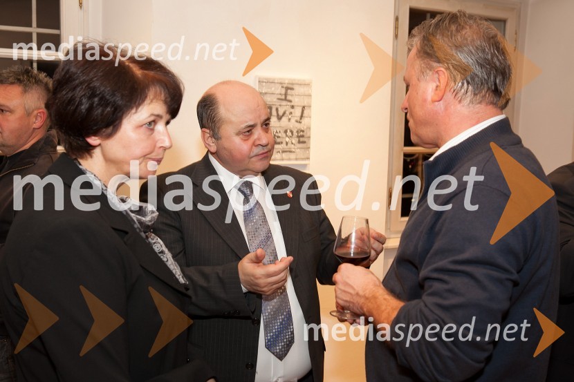 Mediaspeed - Razstava del Viktorja Bernika iz Likovne zbirke Riko