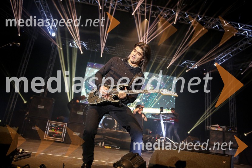 Mediaspeed - Šank rock, koncert