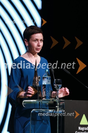 Mediaspeed - 47. Podelitev nagrad GZS