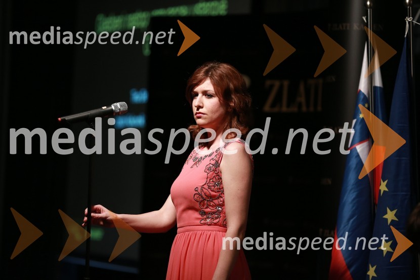 Mediaspeed - Zlati kamen, podelitev priznanj razvojno najbolj prodornim ...