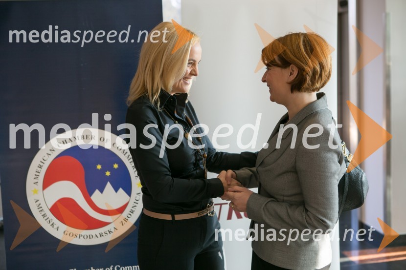 Mediaspeed - AmCham poslovni zajtrk, gost Brent Hartley, novi ...