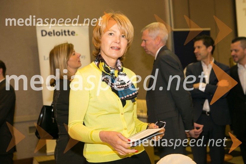 Mediaspeed - Janko Medja, Matej Runjak in Metod Dragonja o ...