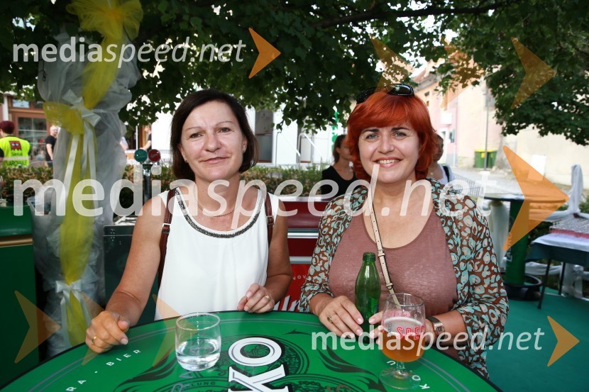 Mediaspeed - Pivo in cvetje 2015, otvoritev, VIP dogajanje