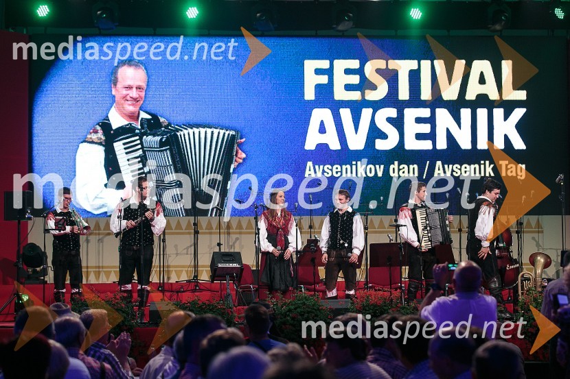 Mediaspeed - Festival Avsenik 2015, sobota