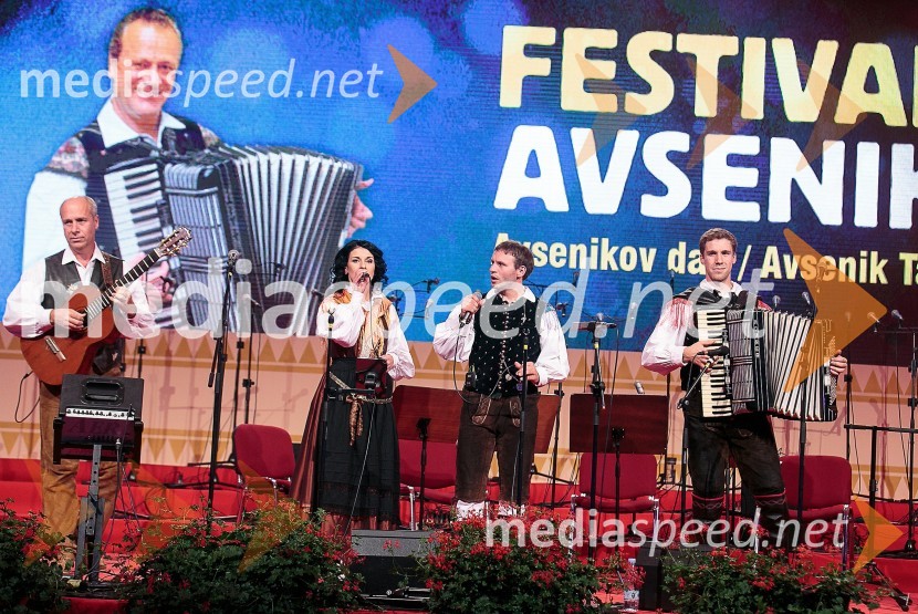 Mediaspeed - Festival Avsenik 2015, sobota